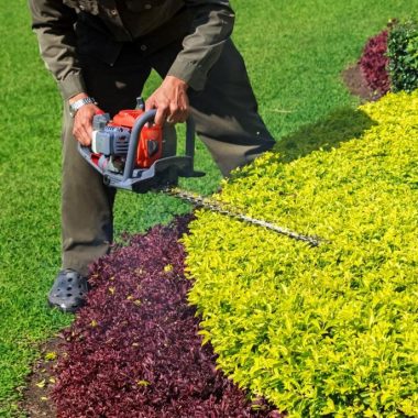 Tree and Shrub Care – Earthco